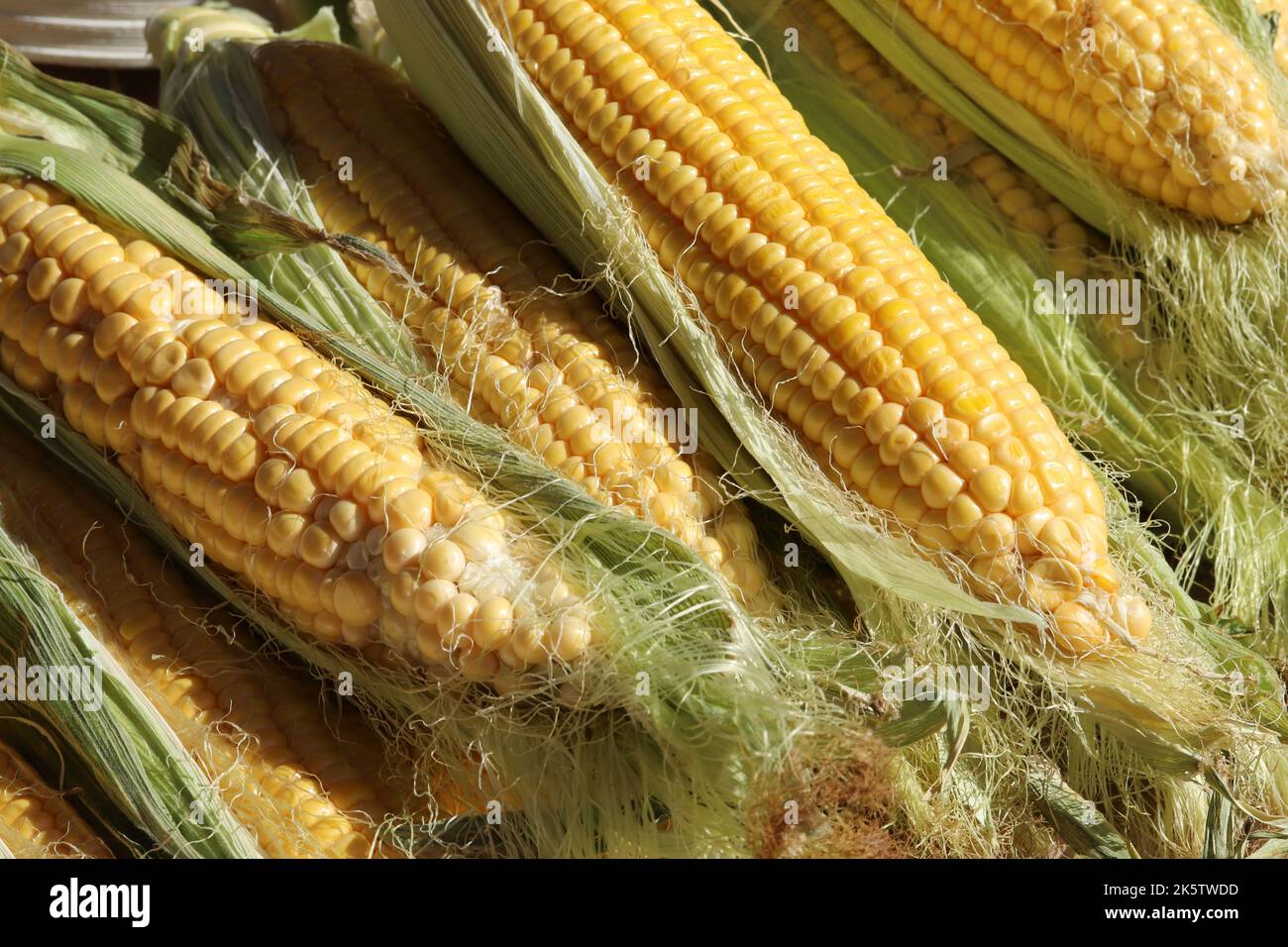 Fresh yellow corns texture background Stock Photo - Alamy