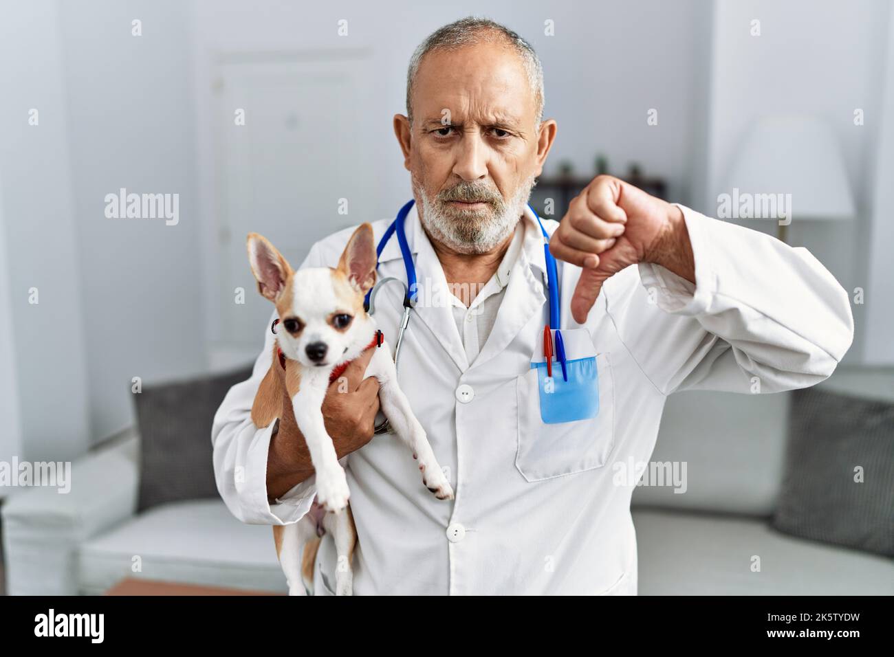 Mature veterinarian man checking dog health with angry face, negative ...