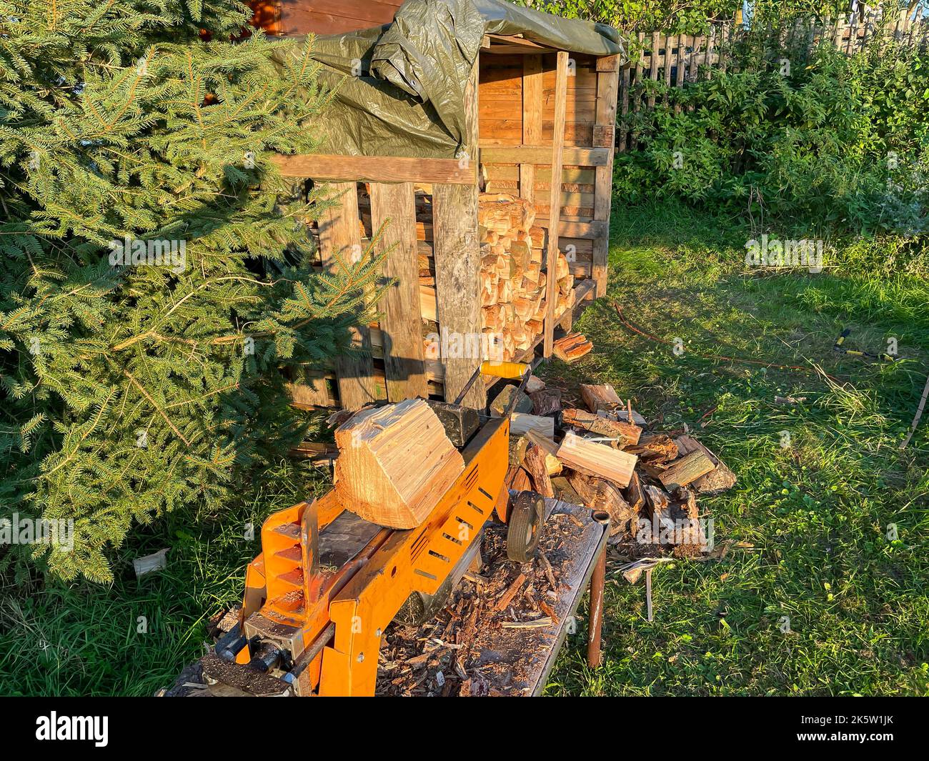 Making firewood with a splitter for the winter Stock Photo - Alamy