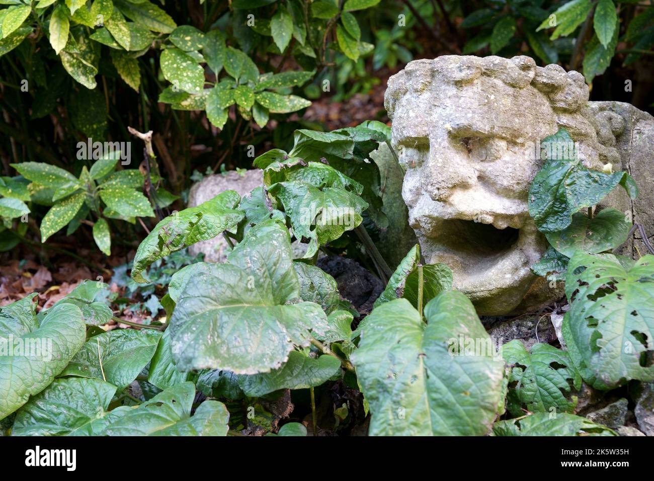 Secret quarry garden hi-res stock photography and images - Alamy