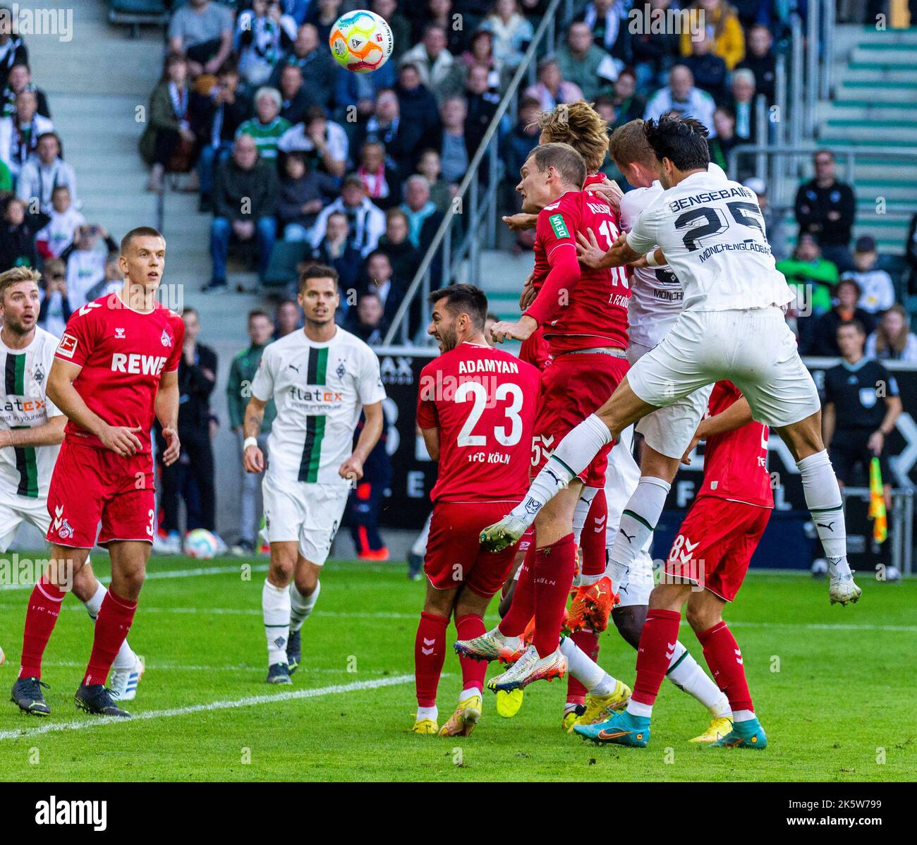 Florian dietz 1 fc cologne hi-res stock photography and images - Alamy