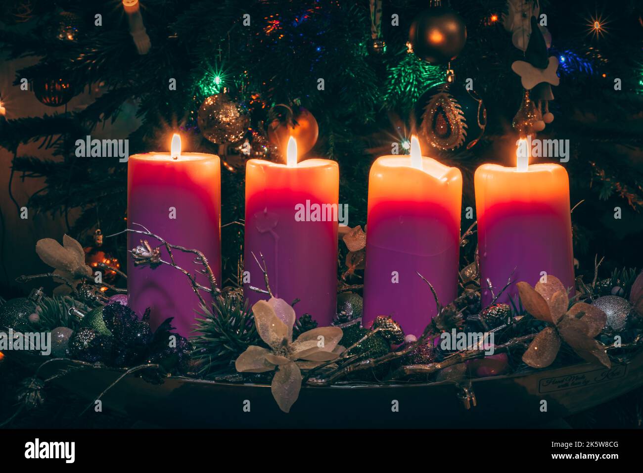 purple advent candles on christmas background Stock Photo - Alamy
