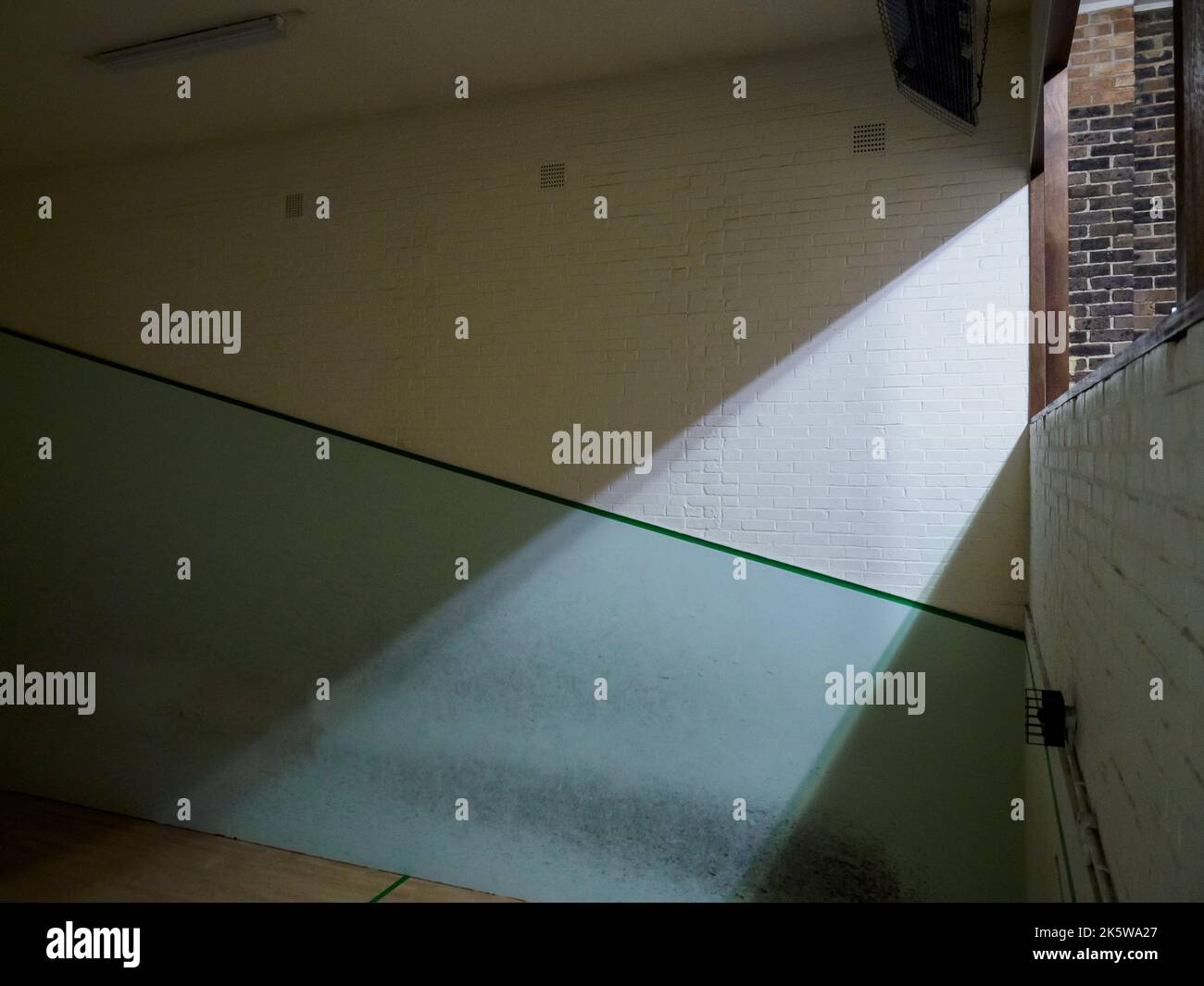 Squash training with Nick Matthew and Sanne Veldkamp, using the ...