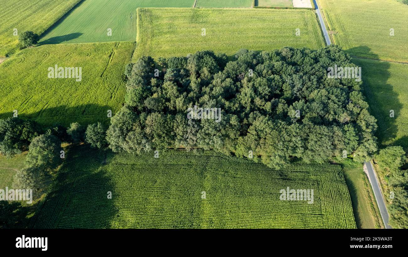 Real clouds hi-res stock photography and images - Alamy