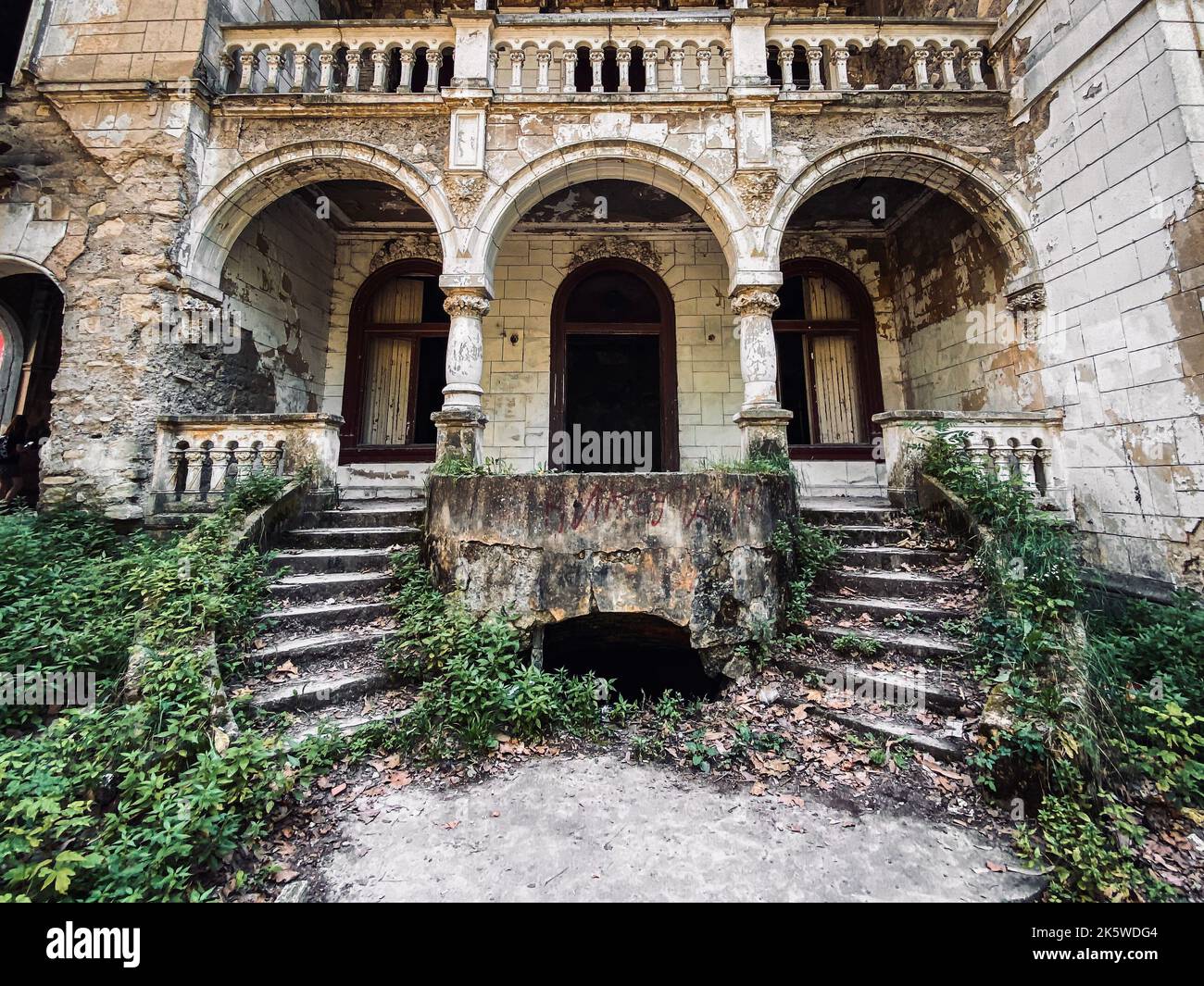 A closeup of an ancient abandoned white castle covered in plants Stock ...