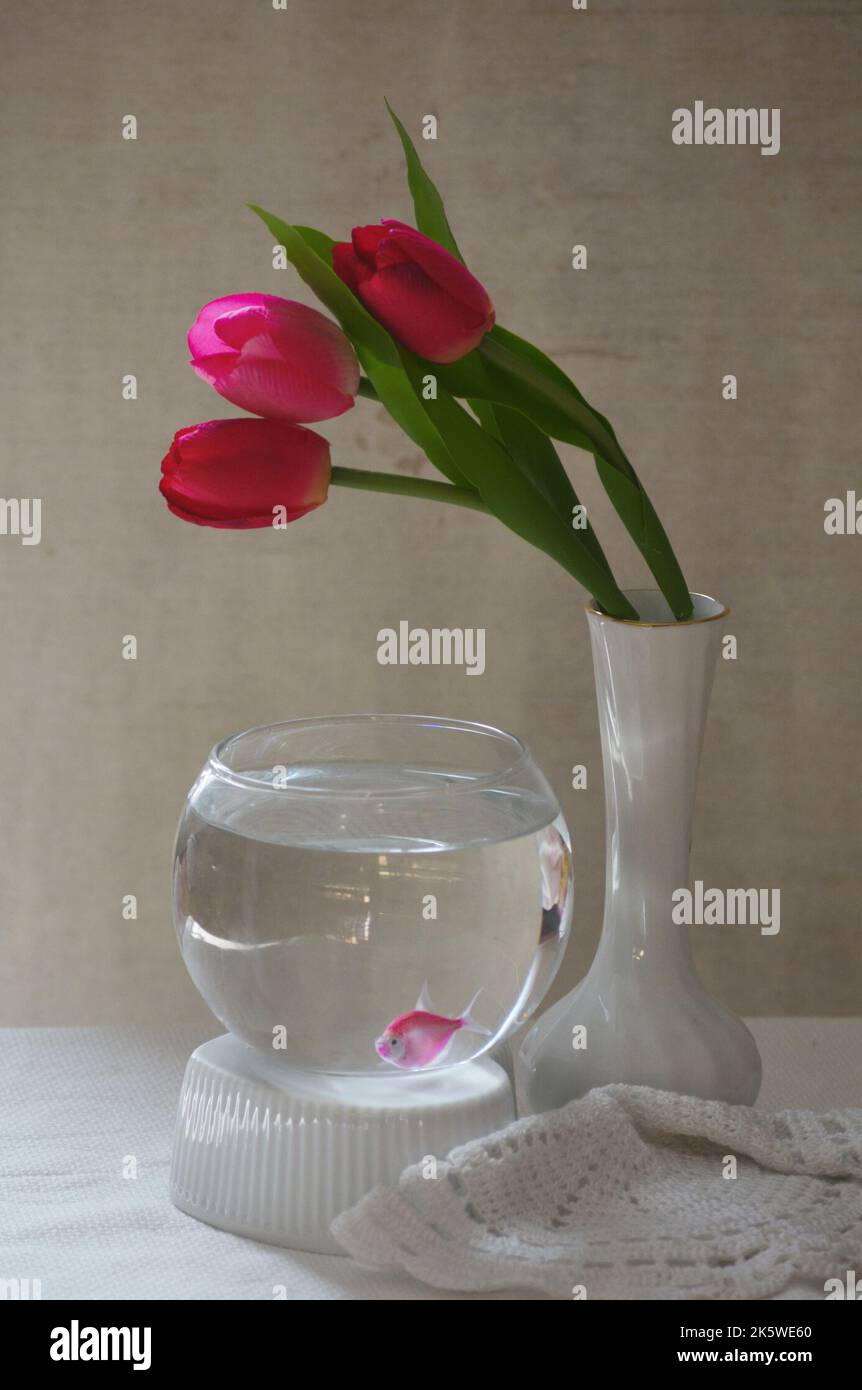 Colorful fish in the glass bowl Stock Photo - Alamy