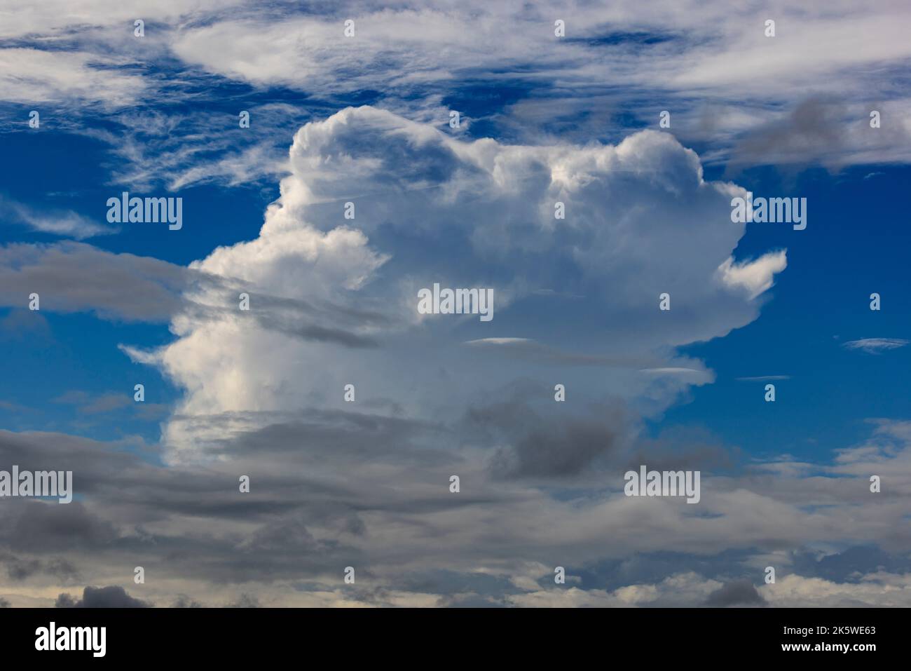 Fluffy puffy cloud Stock Photo - Alamy