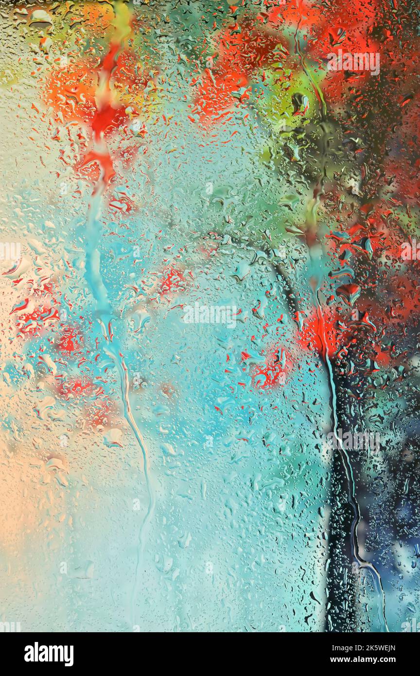 Abstract autumn tree through window in october forest Stock Photo - Alamy