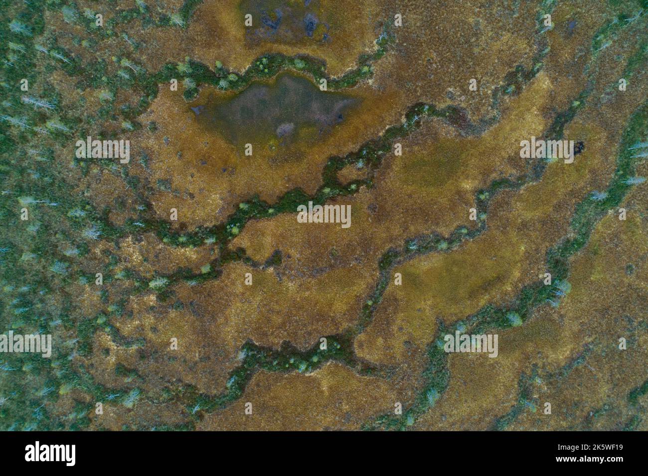 Aerial of Finnish aapa mire on a summer evening Stock Photo - Alamy