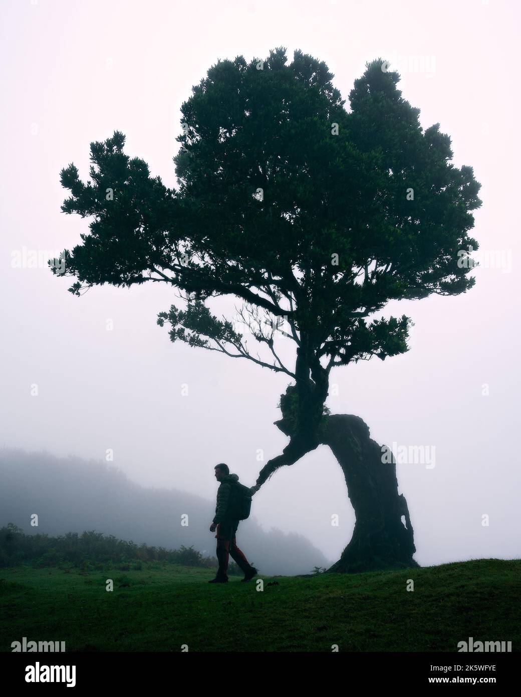 Siluetas hombre hi-res stock photography and images - Alamy