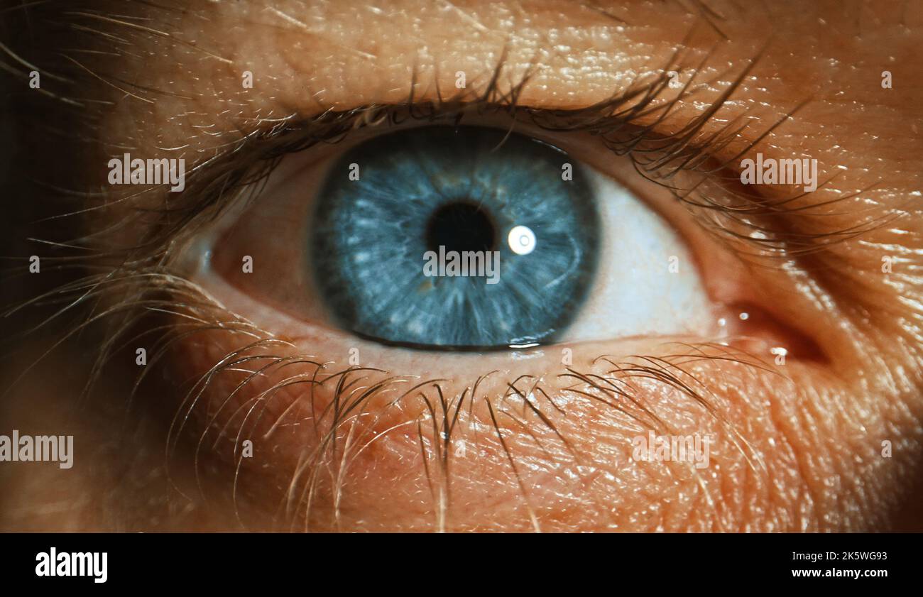 Close shot of the human eye. The eye of a man Stock Photo - Alamy