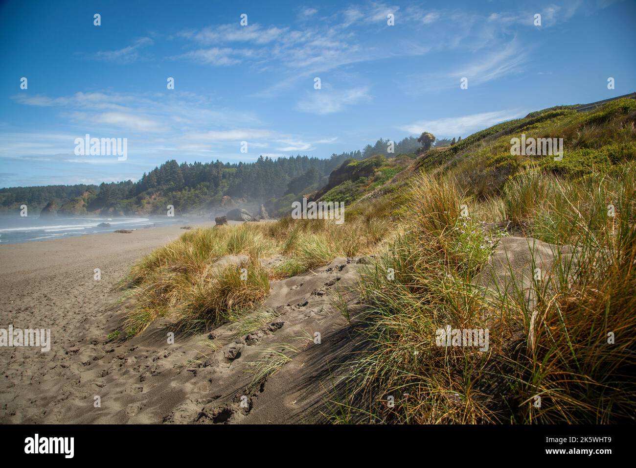 Beautiful Northern California coastline Stock Photo - Alamy