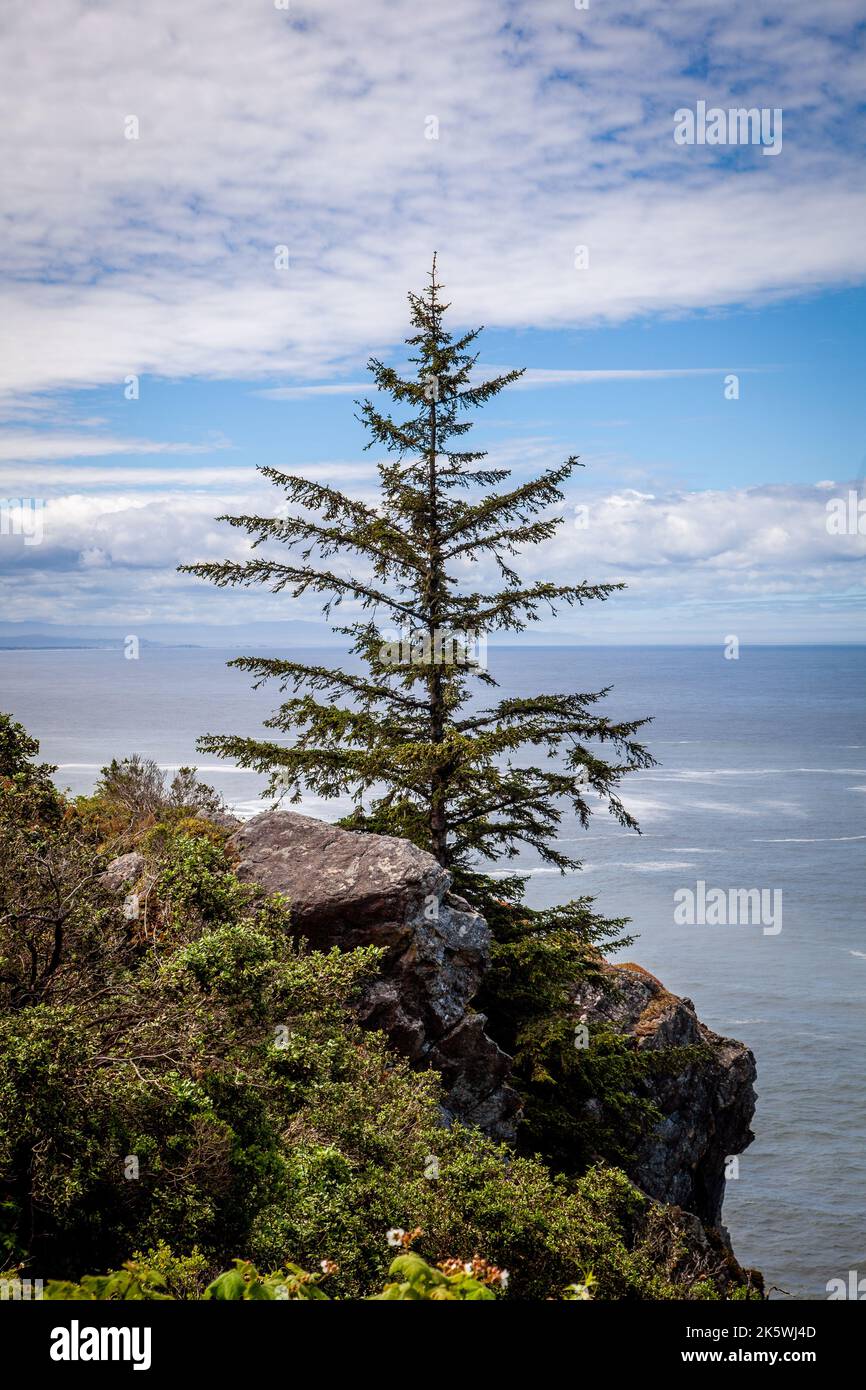 Beautiful Northern California coastline Stock Photo - Alamy
