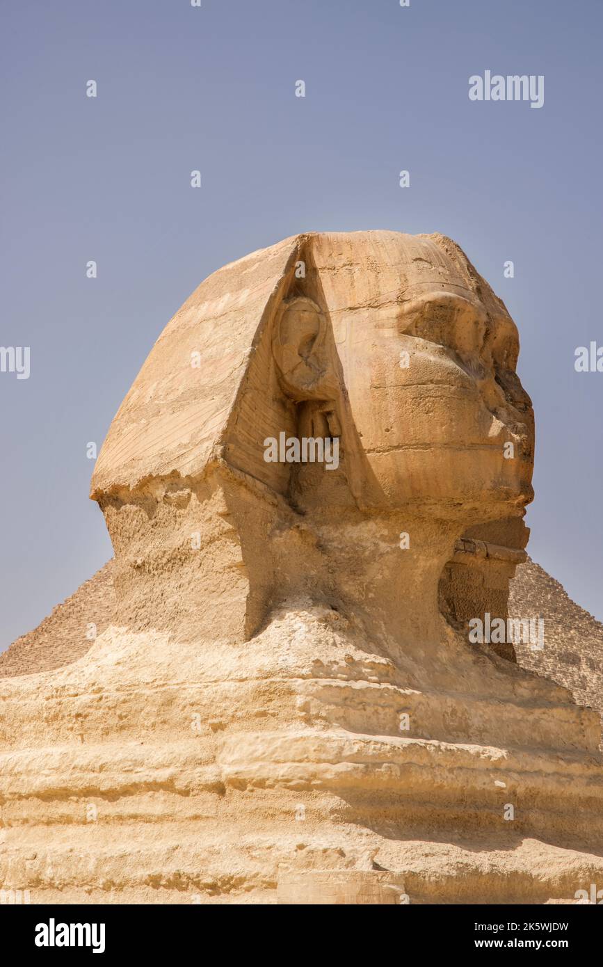 the great sphinx of giza a 4500 year old limestone sculpture on the ...