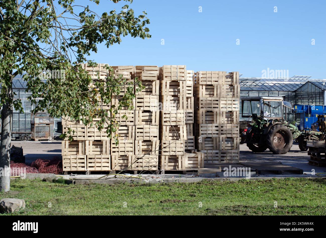 Agriculture, food production of vegetables: farm, empty vegetable boxes ...
