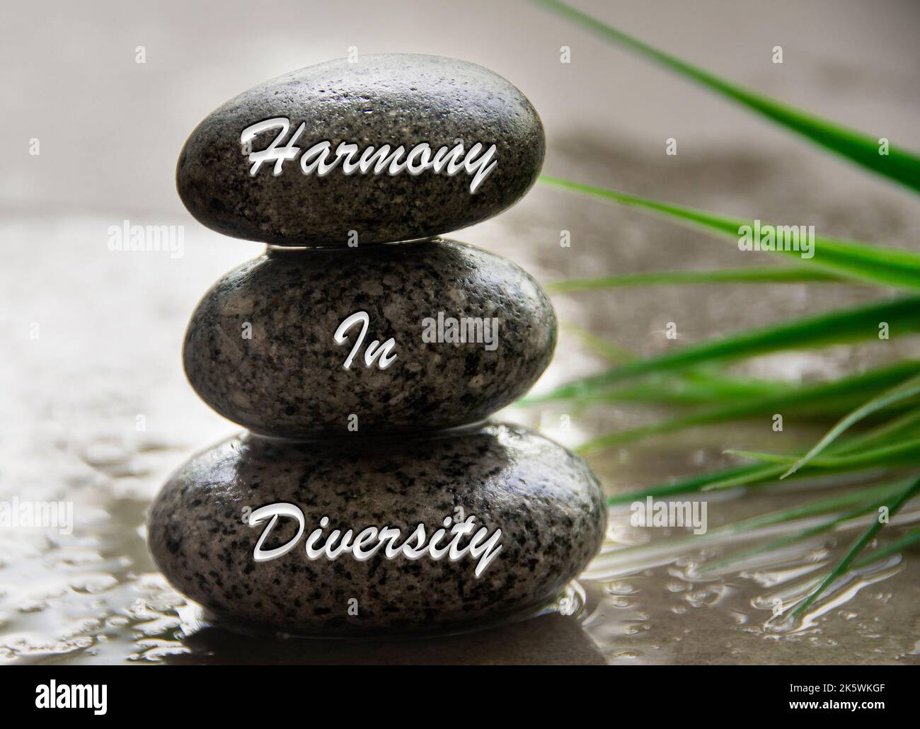 Harmony in diversity text engraved on stones. Business culture concept Stock Photo - Alamy