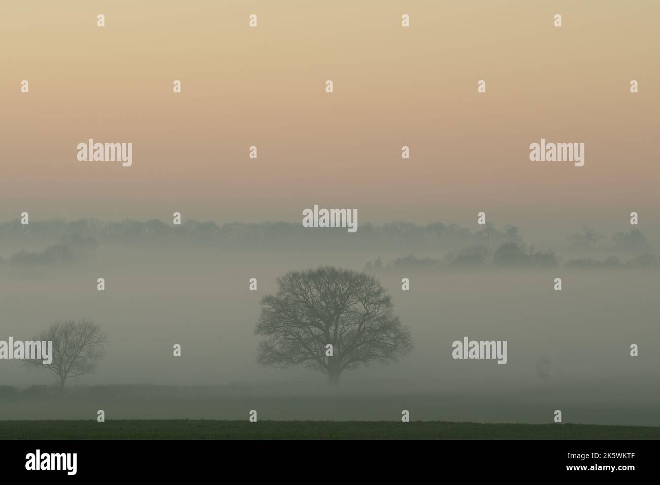 Misty winter afternoon in hi-res stock photography and images - Alamy
