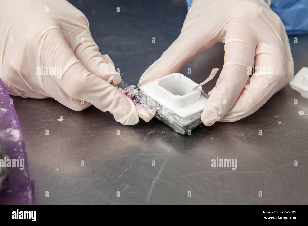Preparing for an assay hi-res stock photography and images - Alamy
