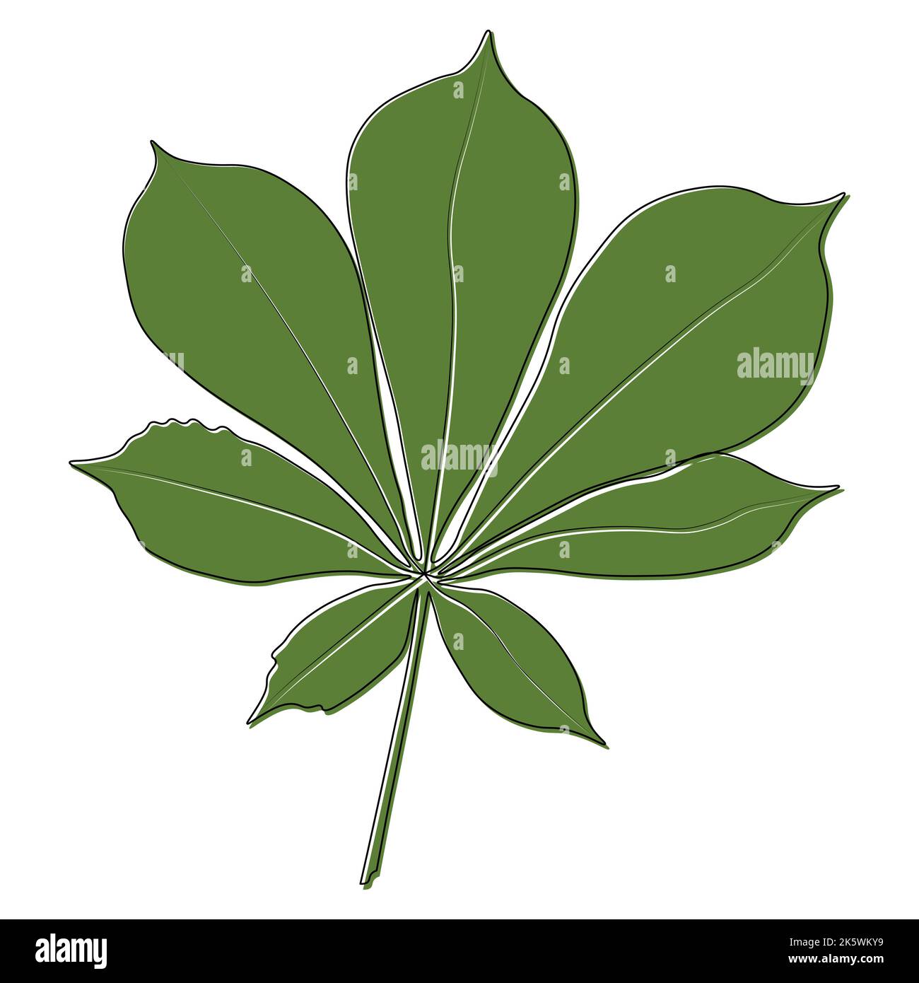 Vector chestnut leaf outline and coloured icon. Simple chestnut leaves ...