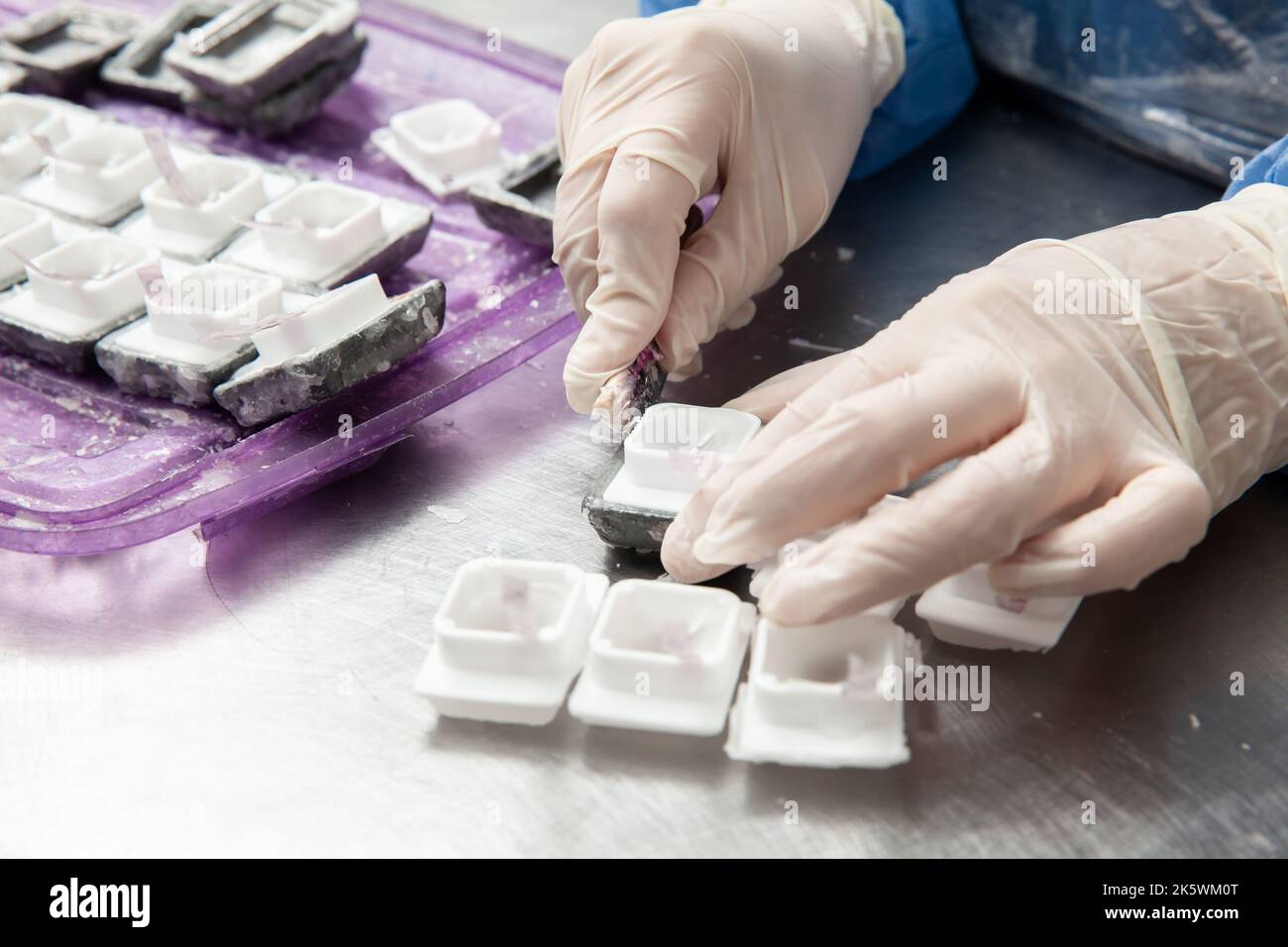 Paraffin embedded tissue hi-res stock photography and images - Alamy