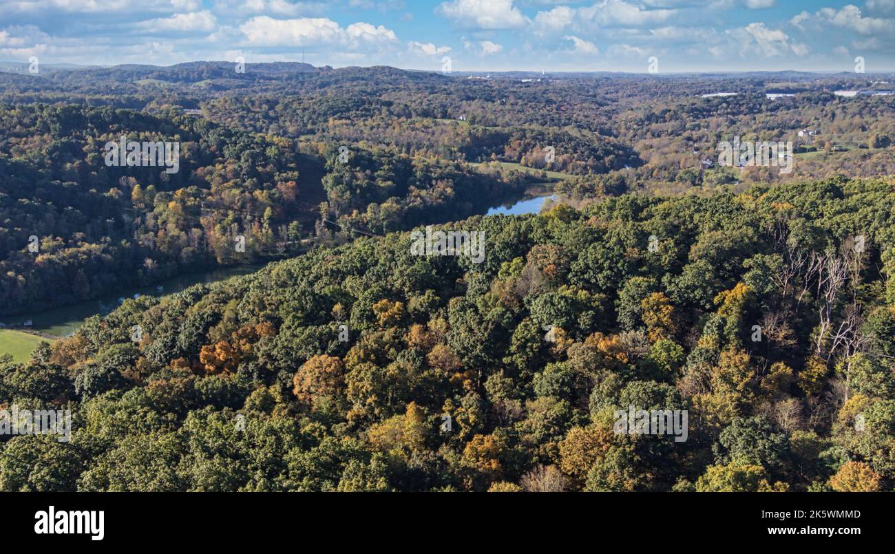 A beautiful dense forest with a pond against the blue sky Stock Photo ...