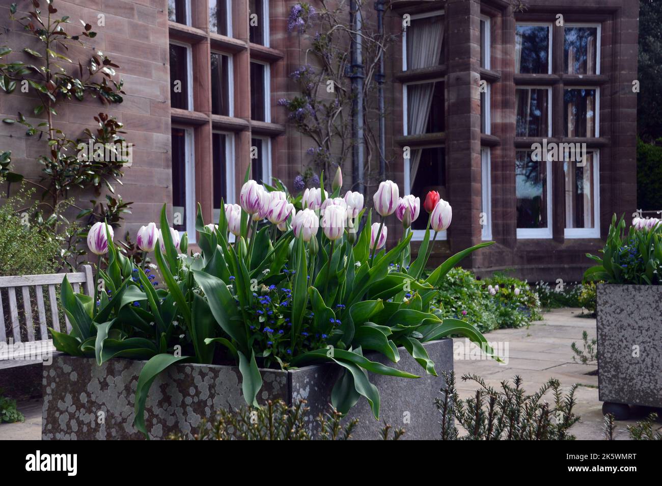 Floral displays in containers hi-res stock photography and images - Alamy
