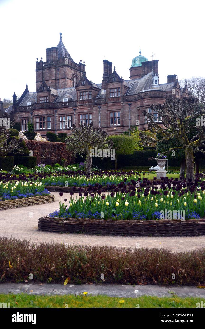 Displays of Tulips in the Borders of the Summer Garden at Holker Hall ...