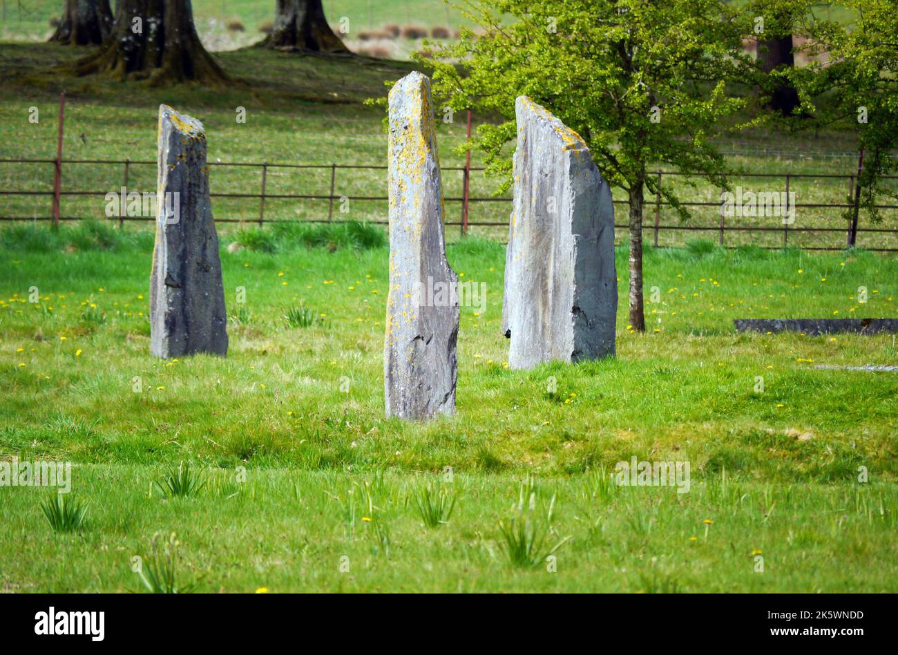 Standing Stone Slate Circle Labyrinth on the Edge of the Wildflower ...