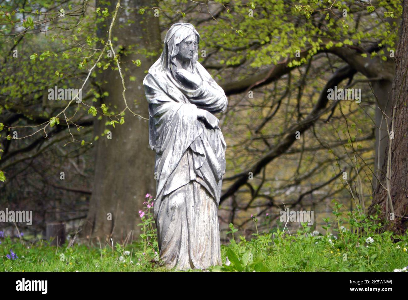 Stone Woman Statue with Cloak and Veil in the Woods with Spring ...