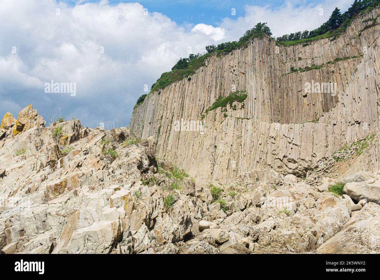 high coastal cliff formed by solidified lava stone columns, Cape ...