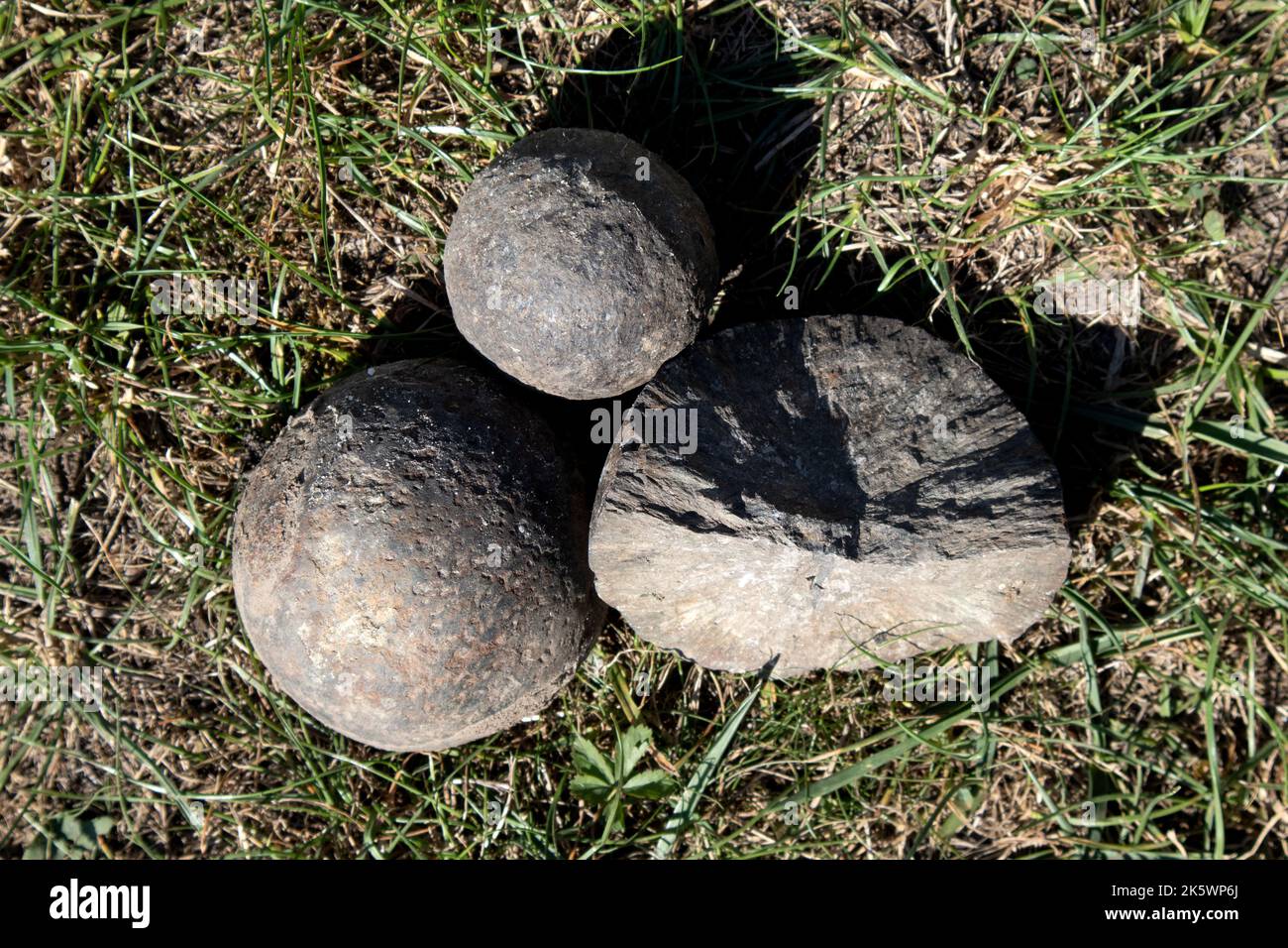 Phosphorite concretion hi-res stock photography and images - Alamy