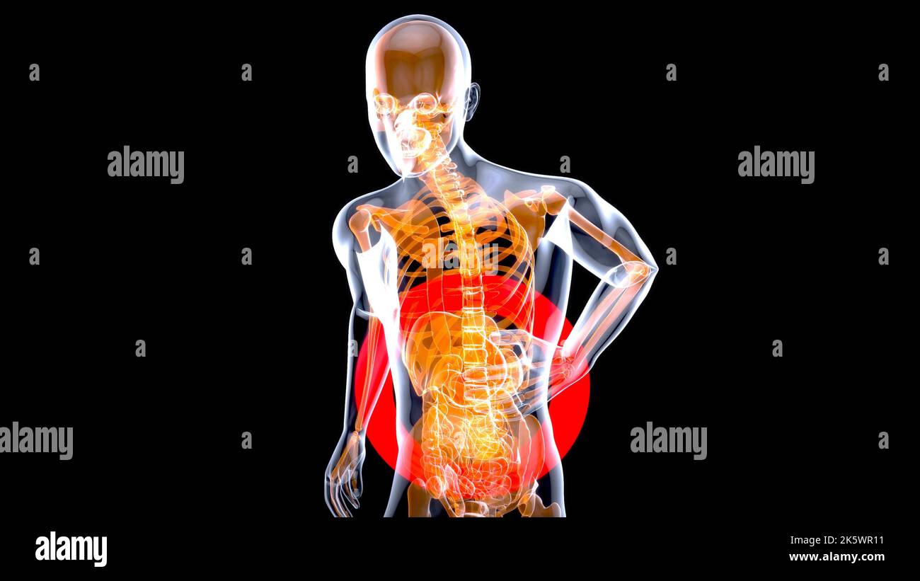 Abstract motion design of the stomach Stock Photo - Alamy