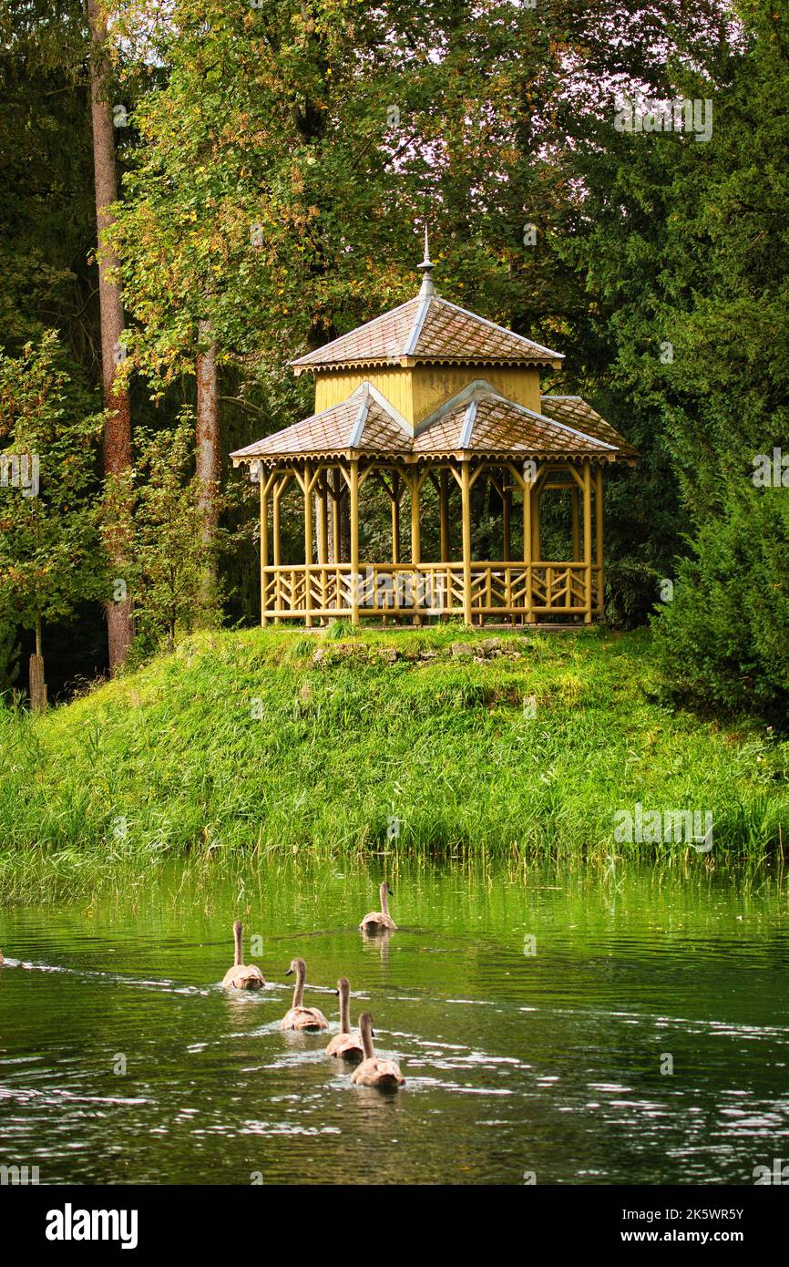 A vertical shot of birds in the water and a pavilion on the lakeside ...