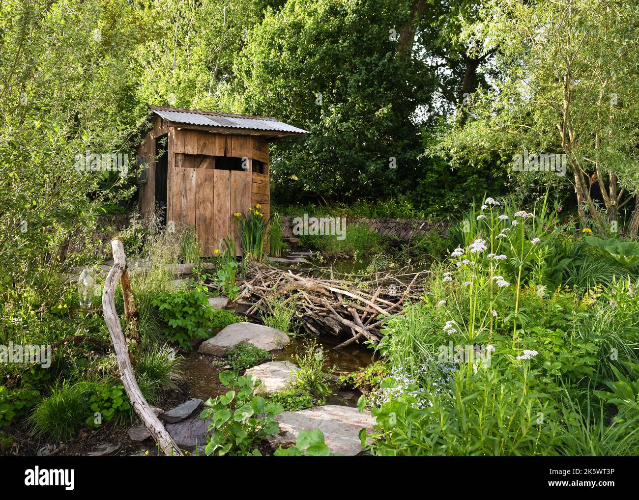 Chelsea Flower Show 2022 Stock Photo - Alamy Chelsea Flower Show 2022 Stock Photo - Alamy