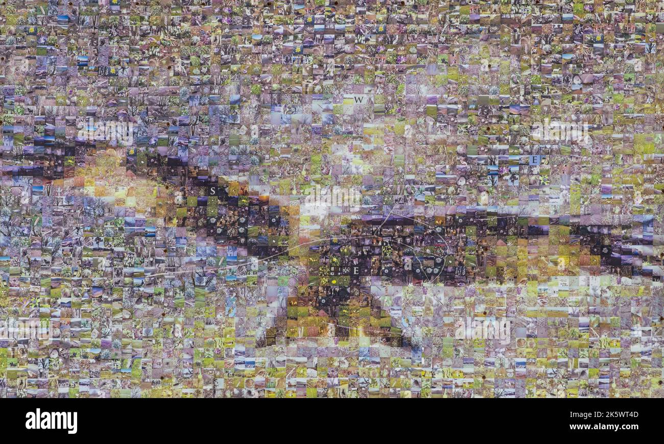 Mosaic of a Red Kite Bird of Prey Stock Photo - Alamy
