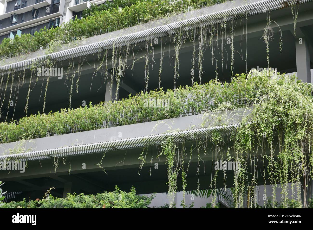 building with plants growing on the facade Stock Photo - Alamy