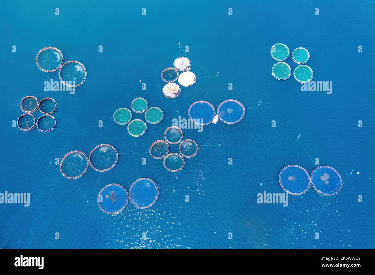 Fish farming. Sea bass and sea bream growing in cages, aerial drone ...