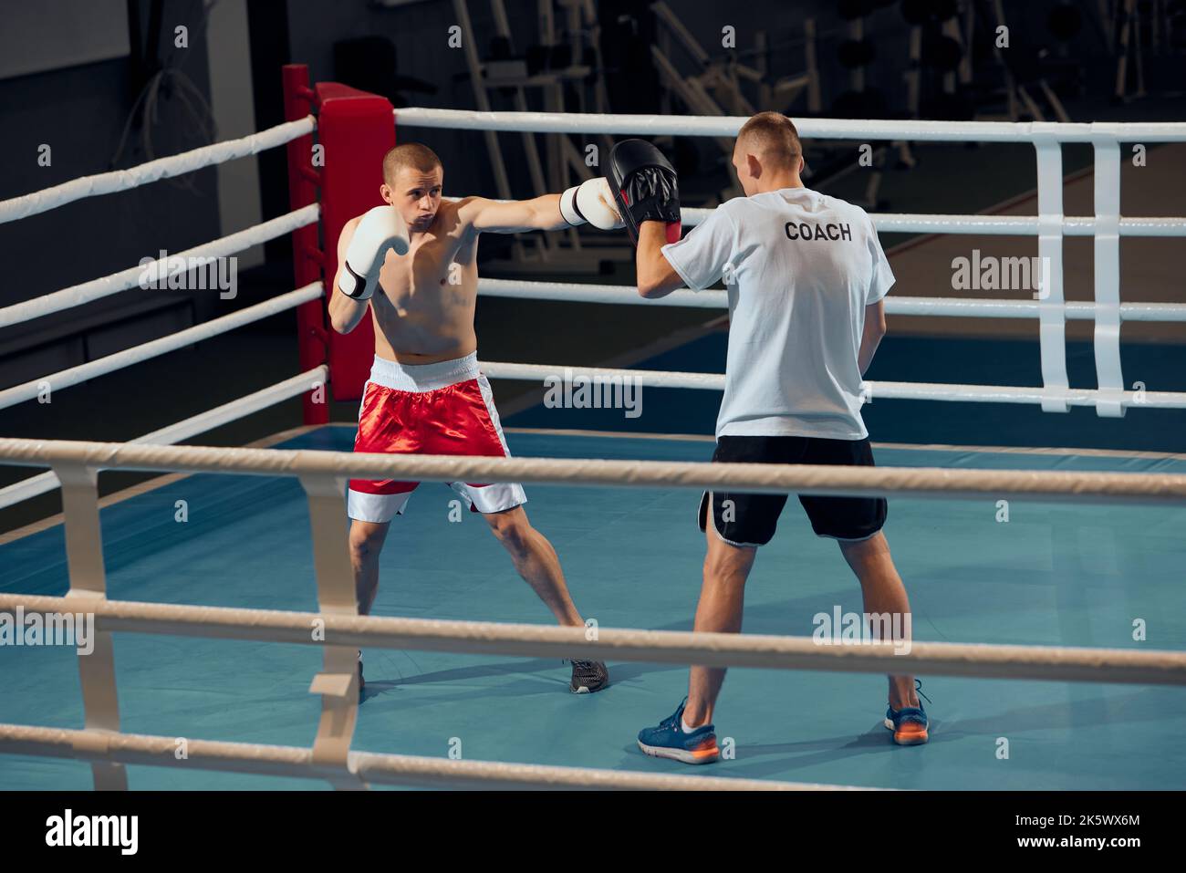 Professional boxer training with personal coach, trainer at boxing ring ...
