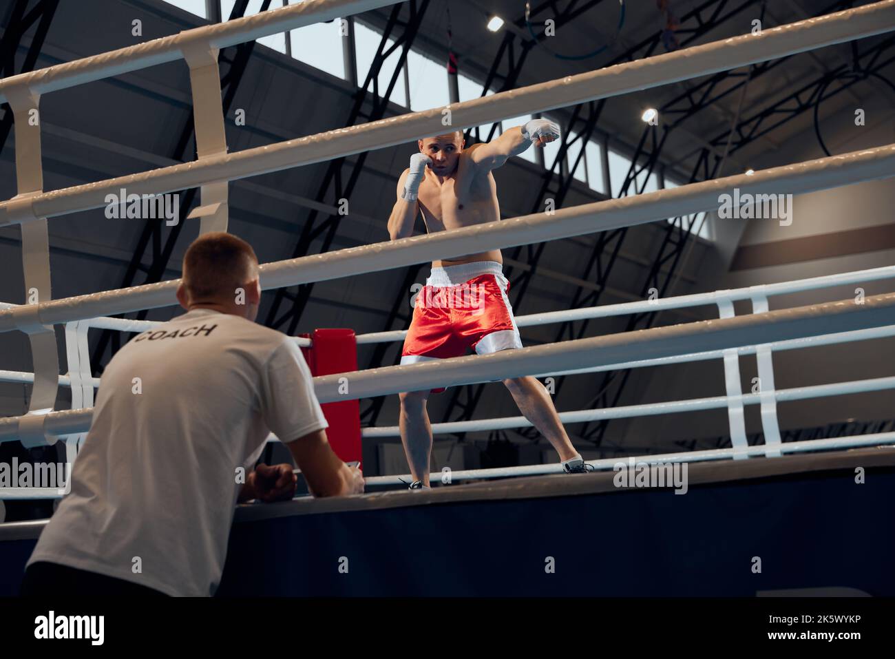 Two sportive men, professional boxer and personal trainer is practicing ...