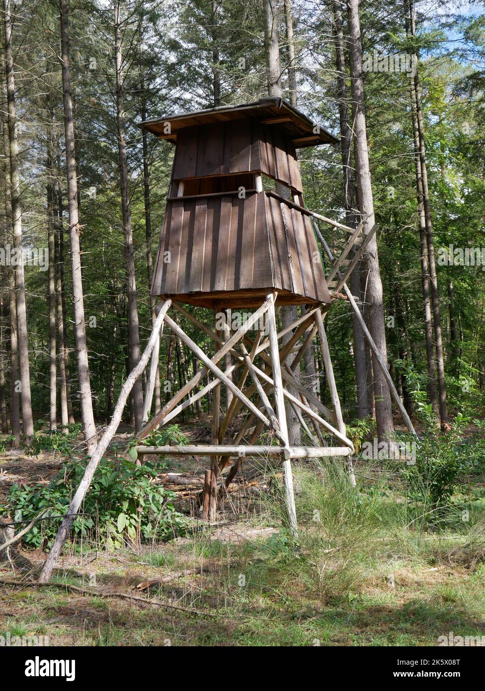 A vertical shot of the wooden lookout tower for hunting in the forest ...