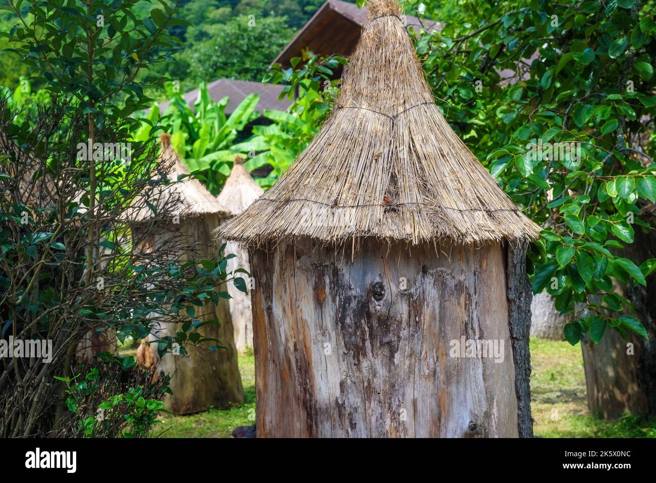Bright green roof hi-res stock photography and images - Alamy