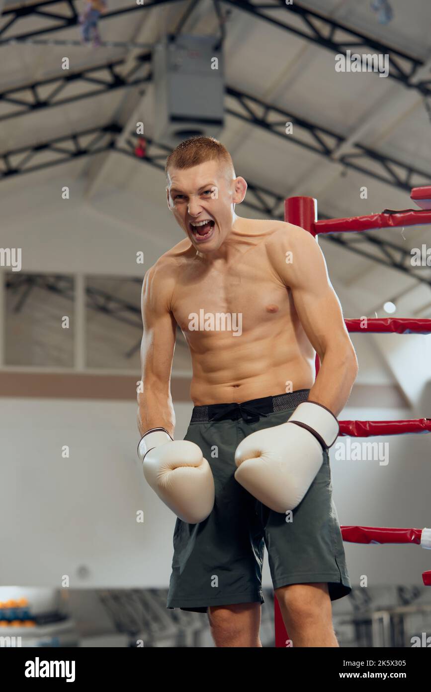Muscule man, young beginner boxer with in boxing gloves and shorts ...
