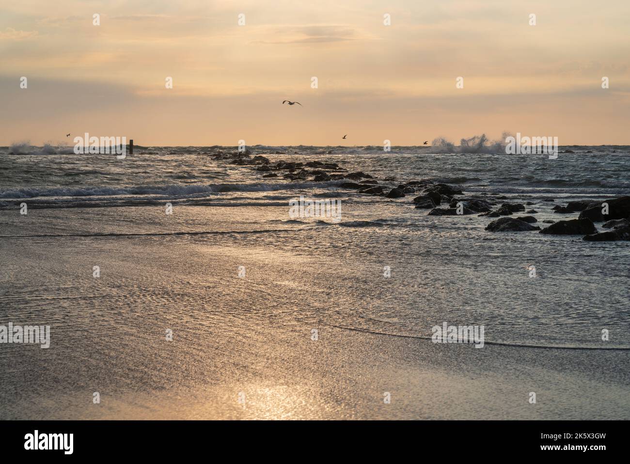 Big waves roll up on the beach at sunrise. White foaming waves and ...
