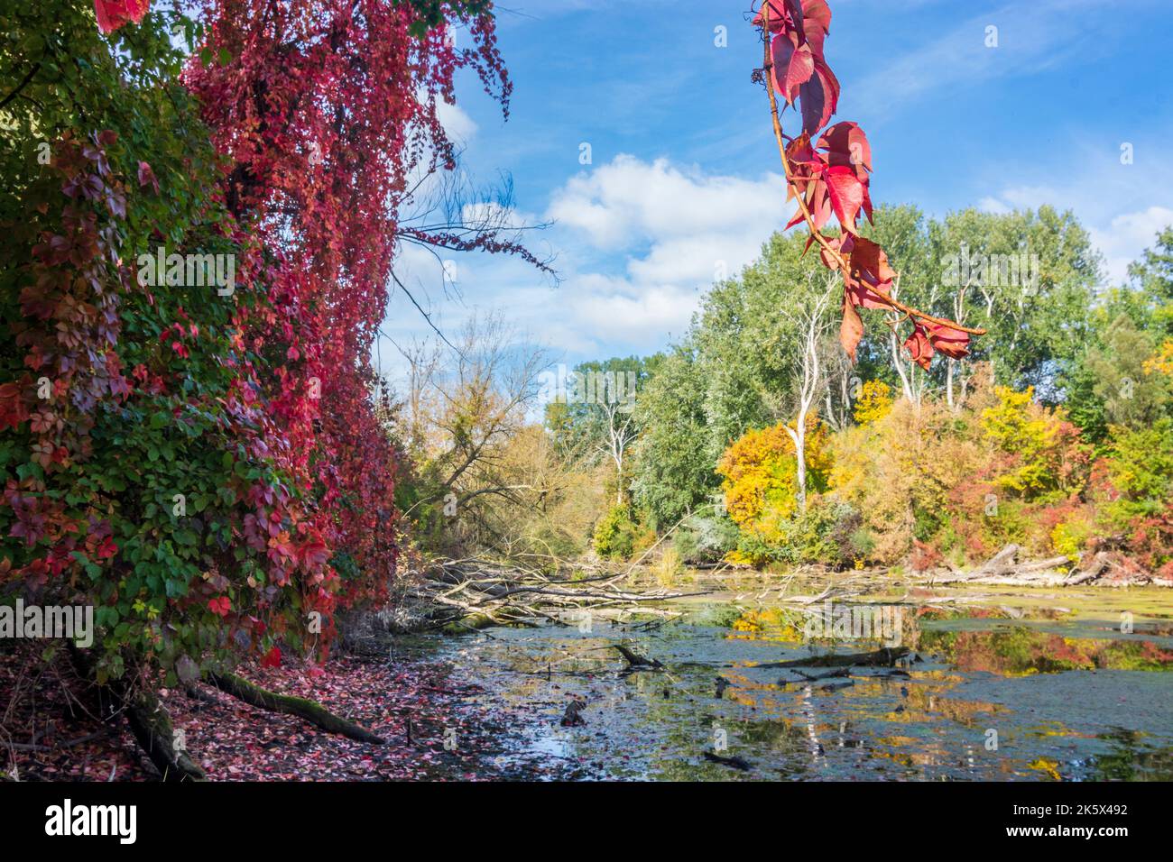 Wien, Vienna: oxbow lake of river Donau (Danube), island Donauinsel ...