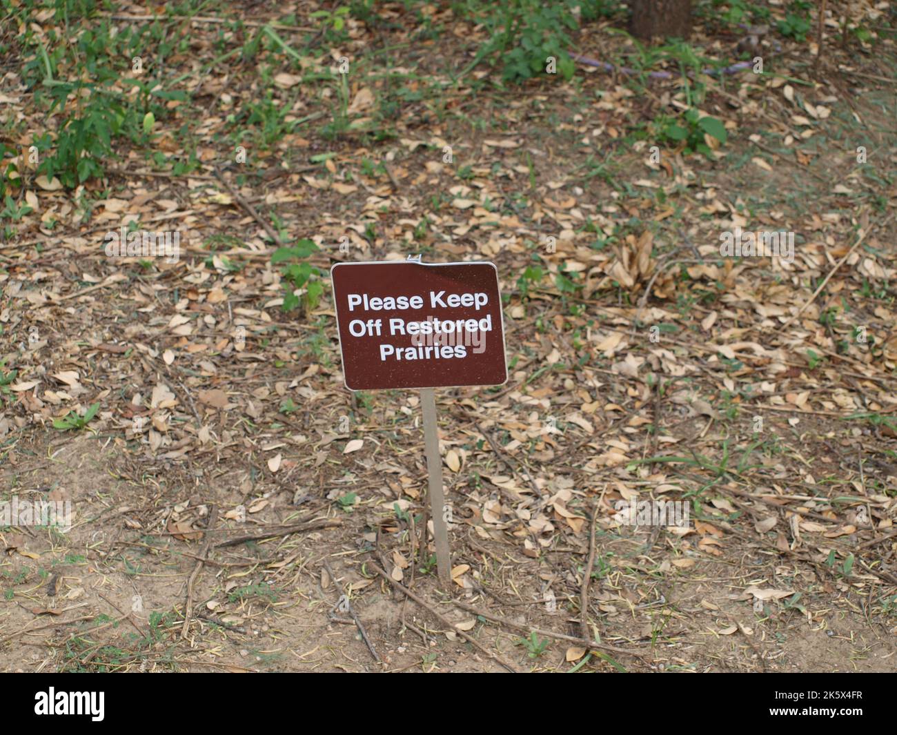 George W Bush Presidential Center & Park Nature Trails Stock Photo - Alamy