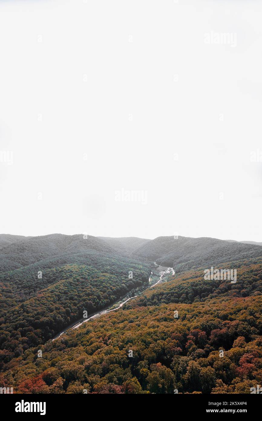 Autumn landscape view from a height in the forest Stock Photo - Alamy