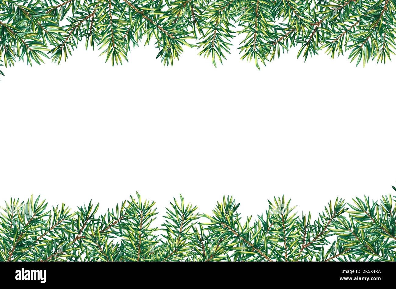 Fir branches. Christmas and New Year background. Watercolor ...