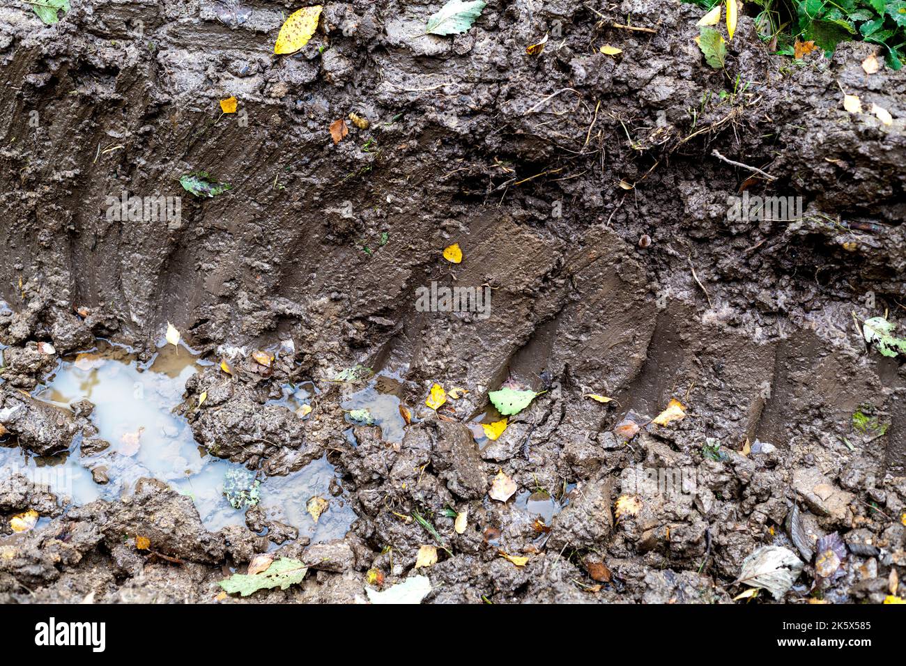 Tire tracks in autumn mud and slush. Close-up Stock Photo - Alamy