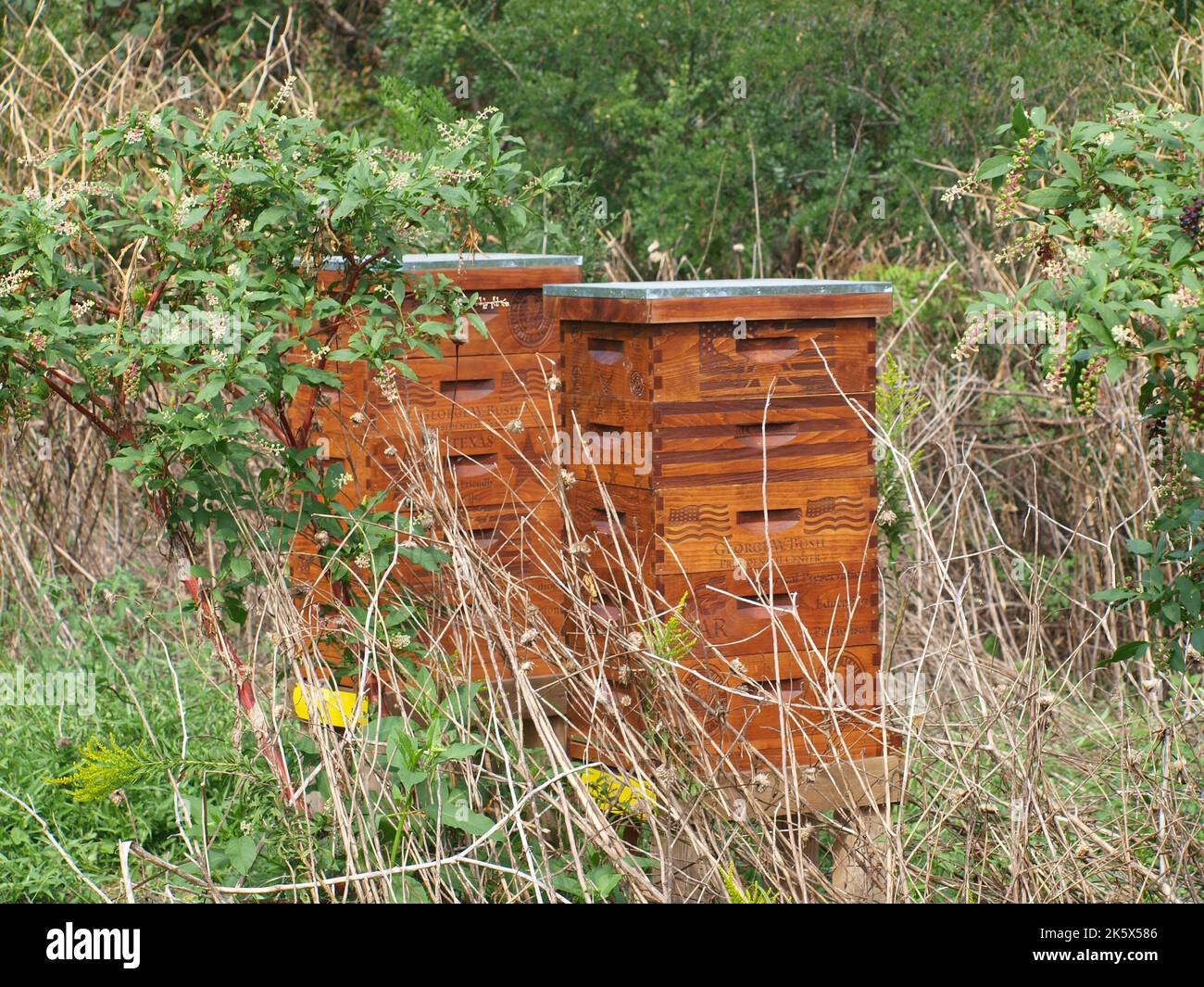 George W Bush Presidential Center & Park Nature Trails Stock Photo - Alamy