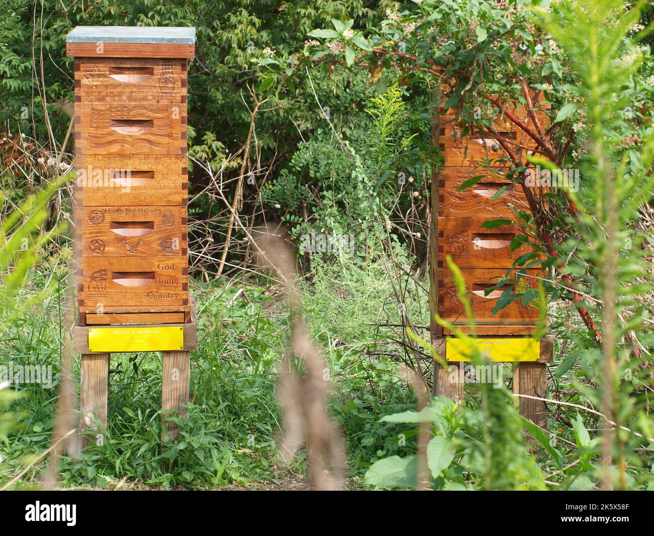 George W Bush Presidential Center & Park Nature Trails Stock Photo - Alamy
